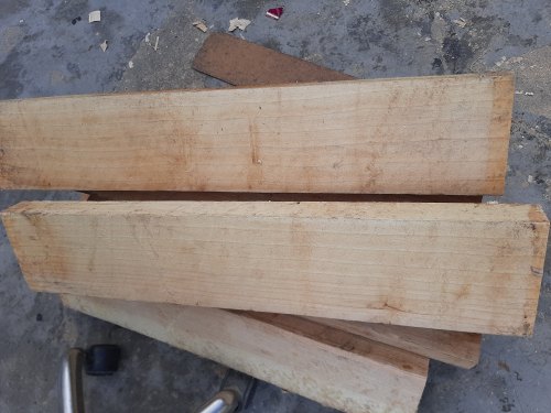 Willow Clefts