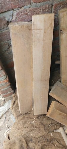 Short Handle Natural Grade 1 English Willow Clefts, For Advance Player ...